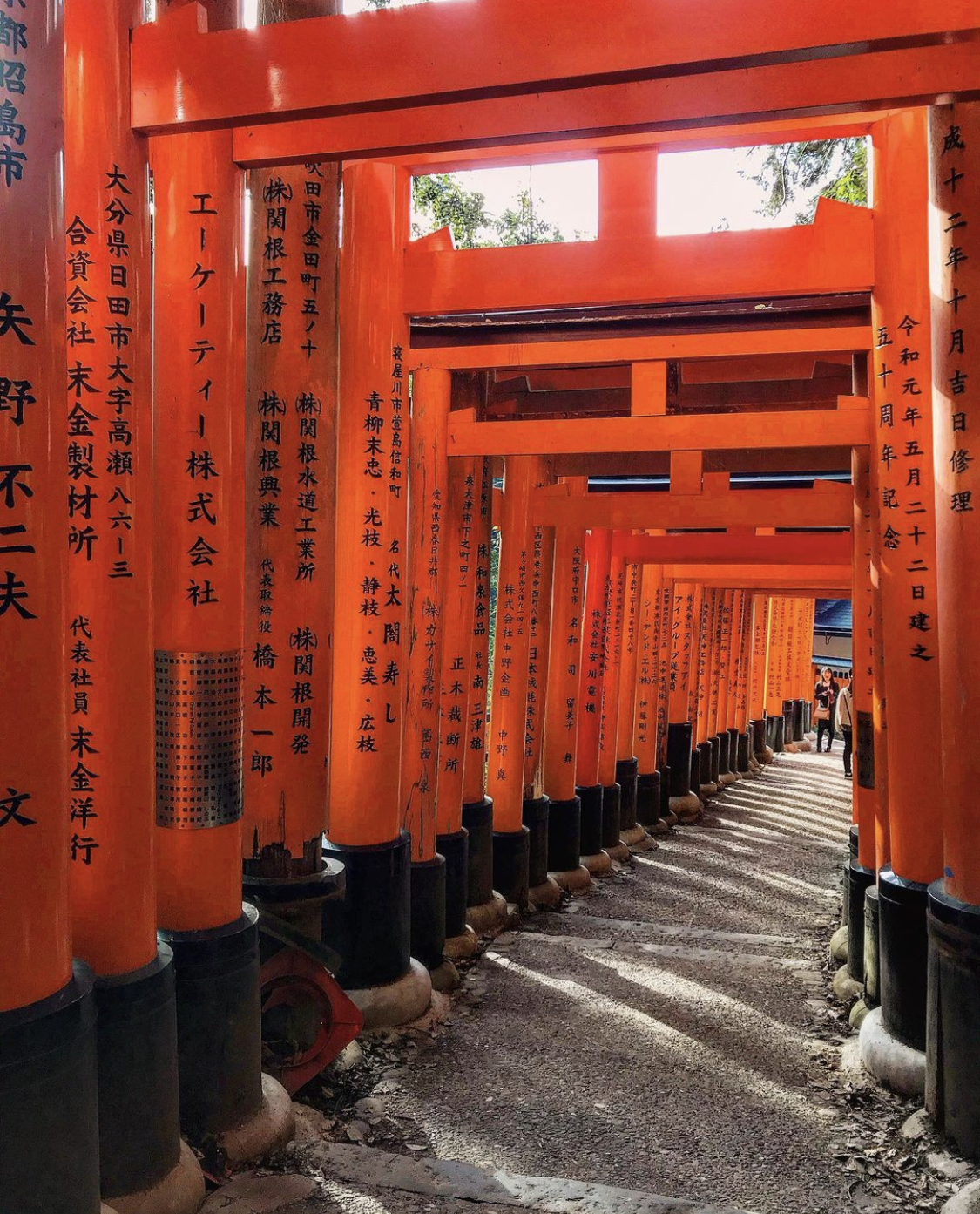 Exchange Semester – Go Go Go! - Architektur an der Hochschule Luzern